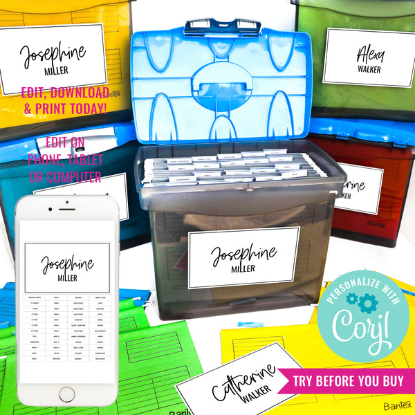 Modern Printable Labels Filing System | Milestone File Tab Organizatio ...